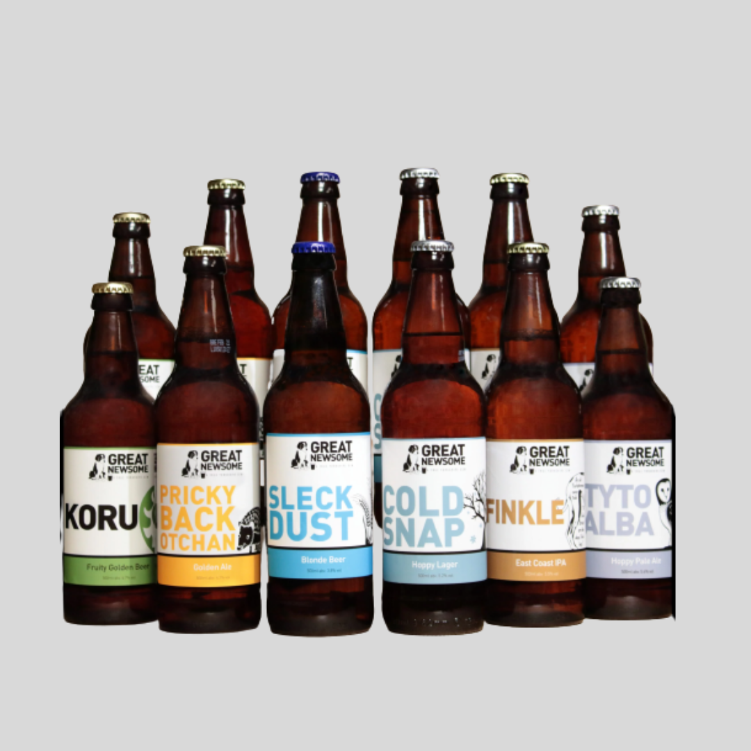 Great Newsome Mixed Case | Light Beer Box x12 – All About The Beer